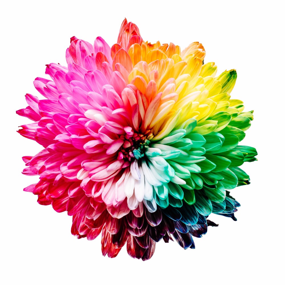 Flower Index – In One Word